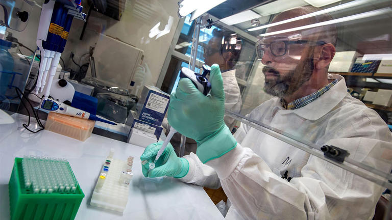 'There's No Conspiracy': An Inside Look at CDC's Key Vaccine Safety ...