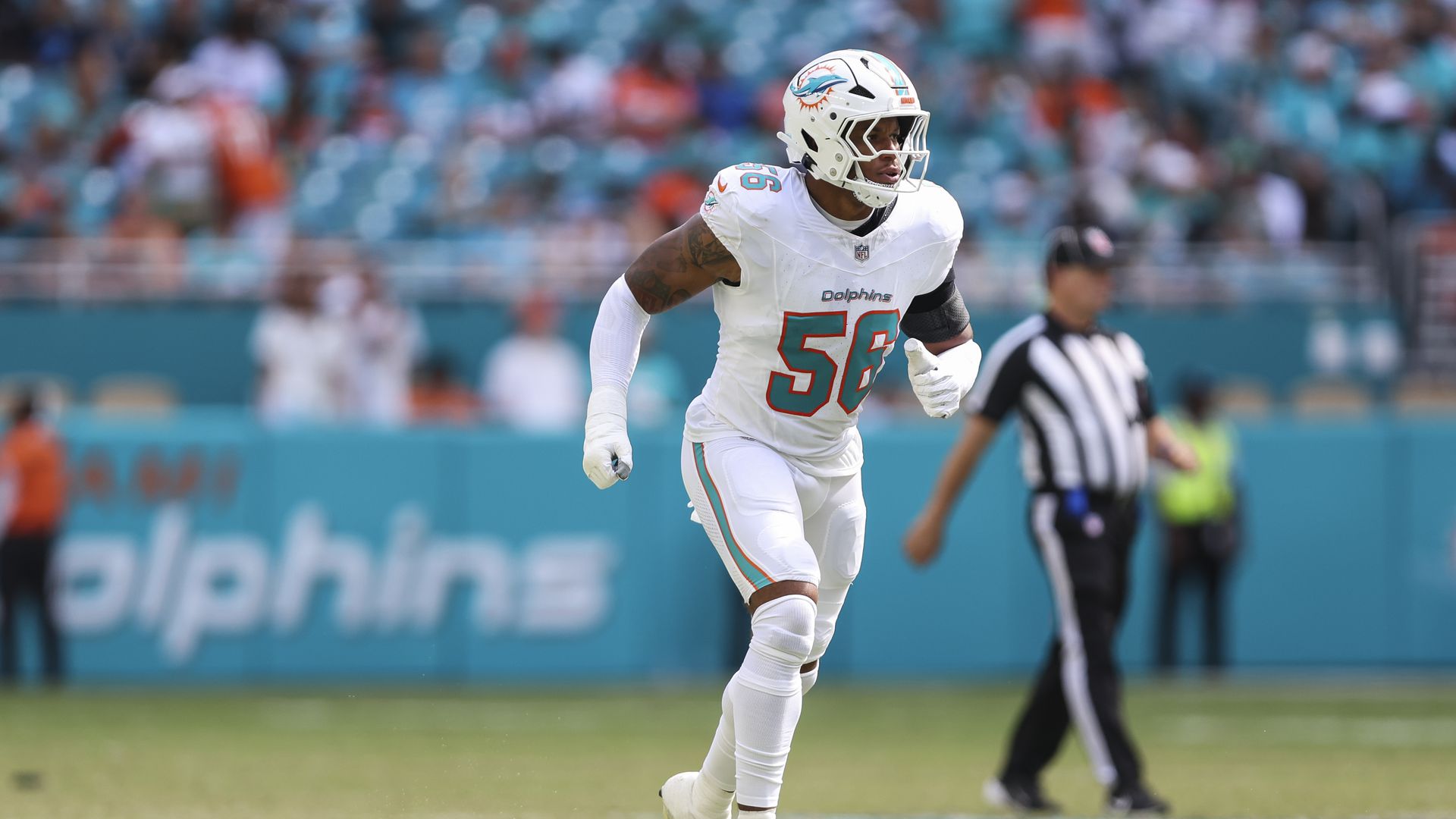 Dolphins waive LB Bradley-King, sign QB Gabbert
