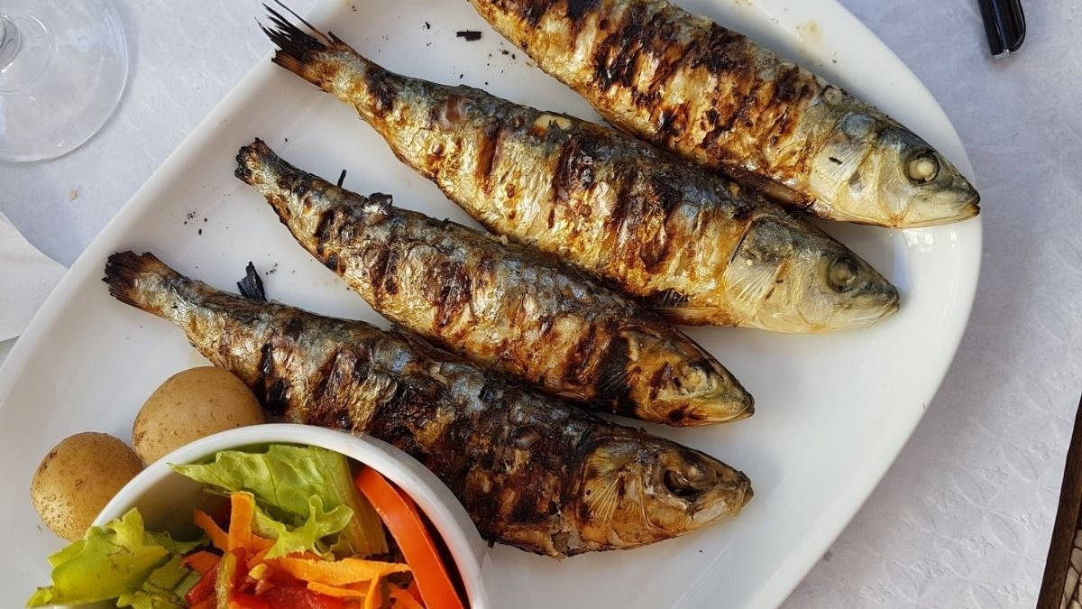 Tiny Powerhouse: The Unexpected Fish That Out-Nourishes Most Vegetables