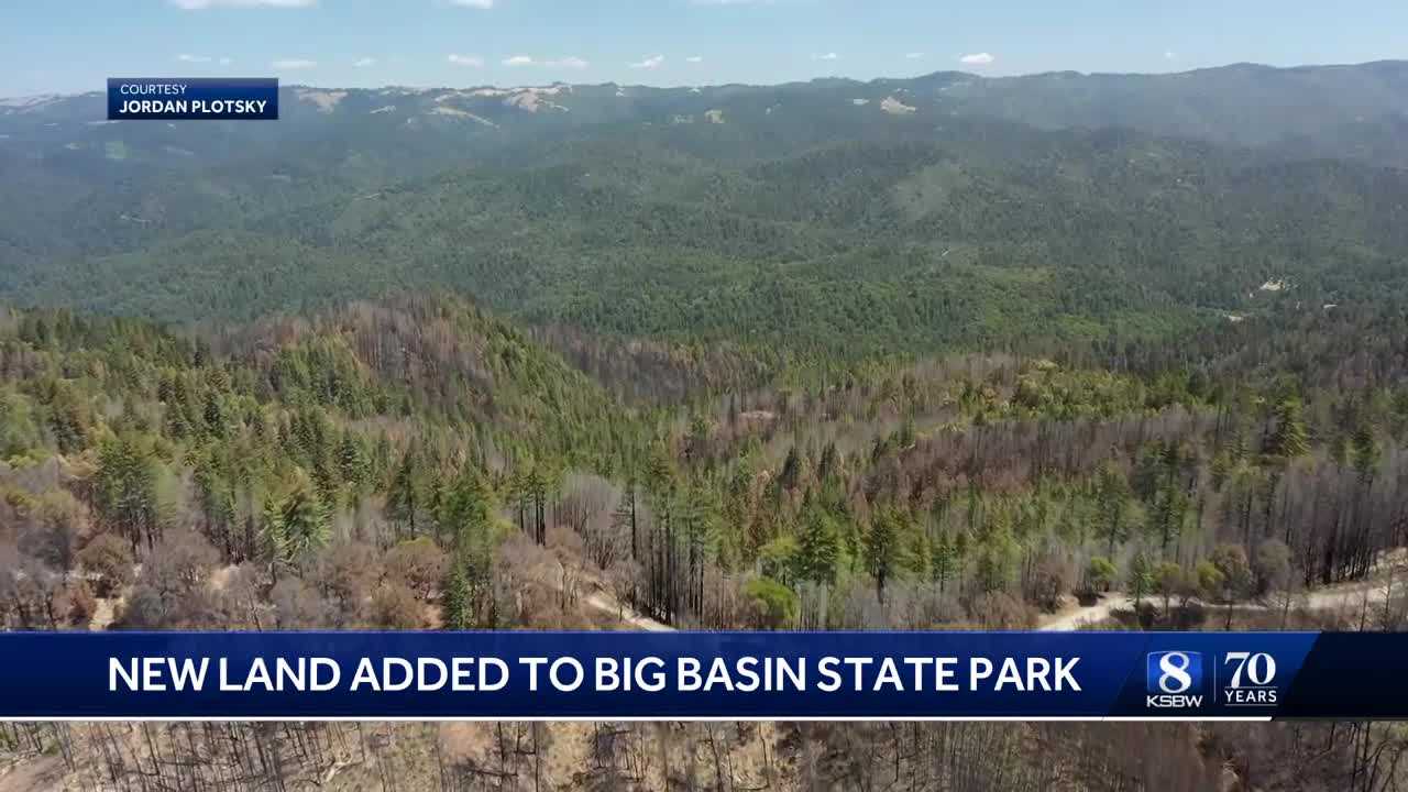 How a California library card can grant you free access to over 200 ...