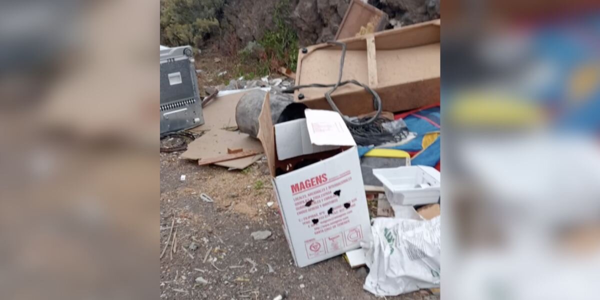 Rescuer Looks Inside Cardboard Box And Sees 8 Fuzzy Babies Huddled Together