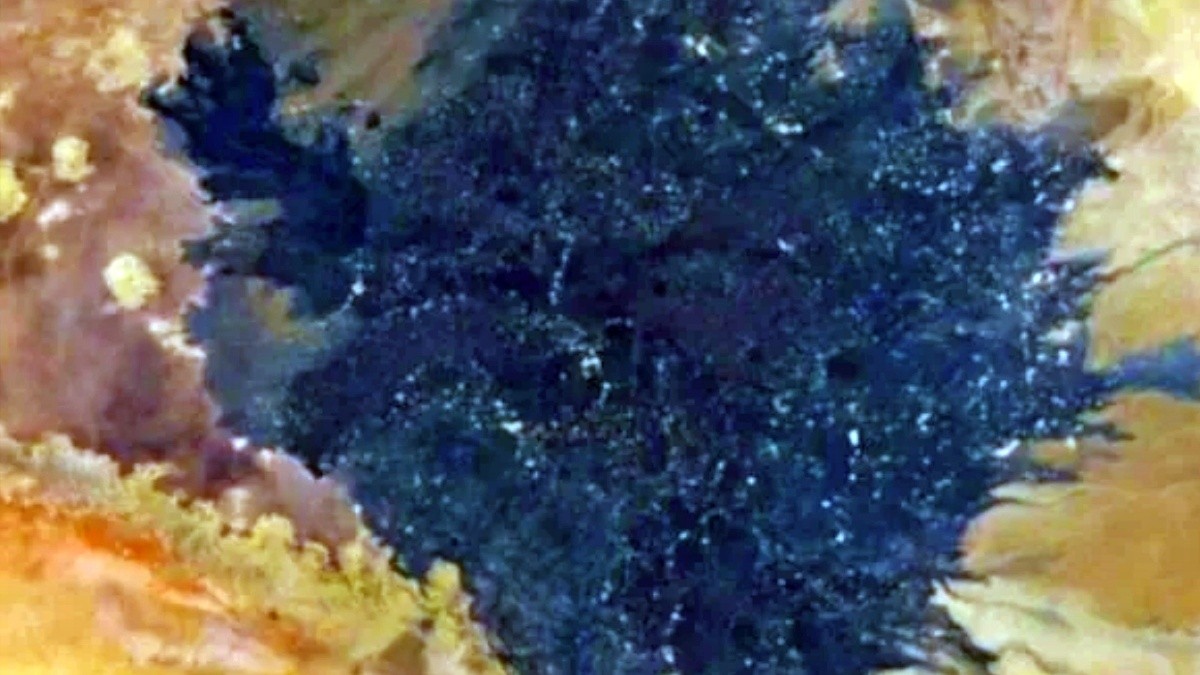 NASA descubre misteriosa mancha negra en el Sáhara: es un campo ...