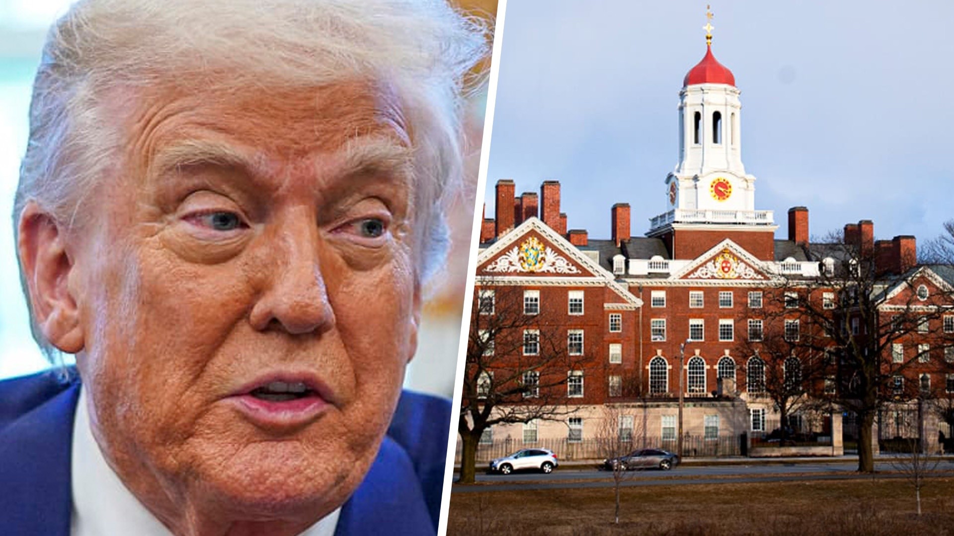 Trump admin halts Harvard's ability to enroll international students