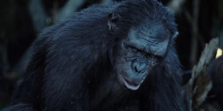 What The Planet Of The Apes Movies Get Wrong, According To A Primatologist