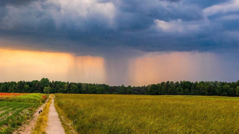 Reasons why an excessive population is a genuine issue