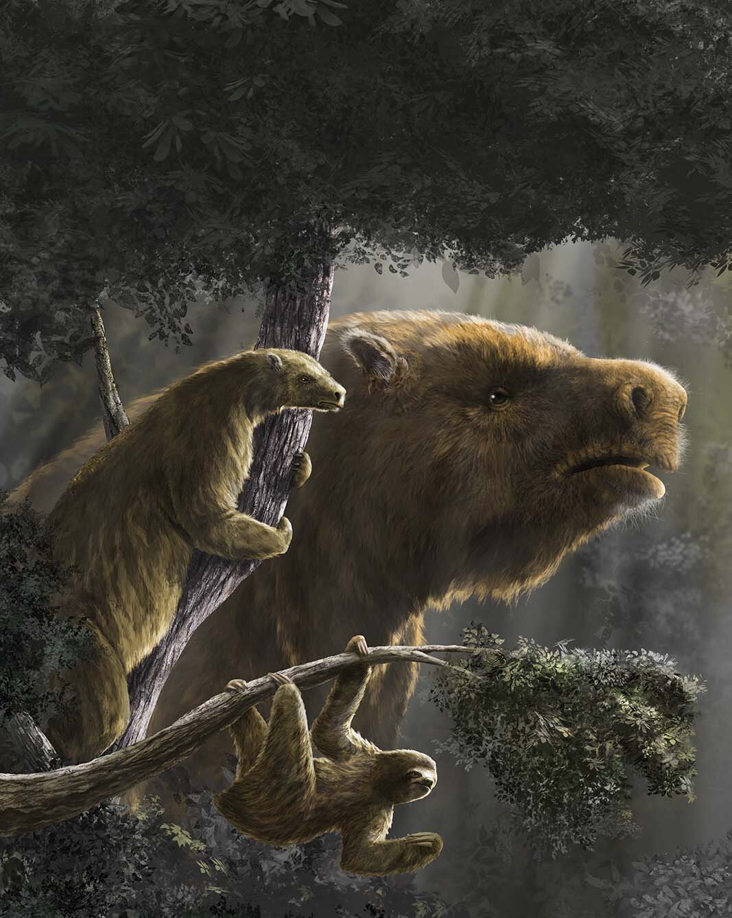 Scientists have figured out how extinct giant ground sloths got so big ...