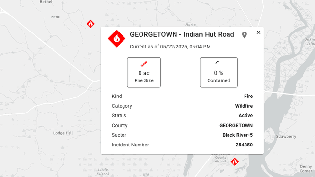 2 wildfires contained, but smoke will remain: Georgetown Co. officials