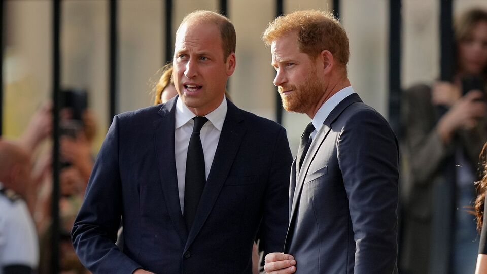 Prince Harry, Prince William's uncle leaves $2 million inheritance for ...