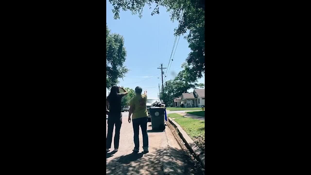 ‘Here we go again’: Former Waco officer recalls 2001 murder of stray cat in wake of cats found ...