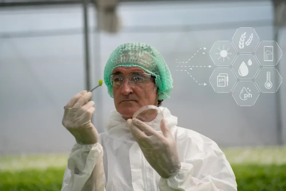 Sintx Technologies Draws Heavy Retail Buzz On New Patent Push, Subsidiary