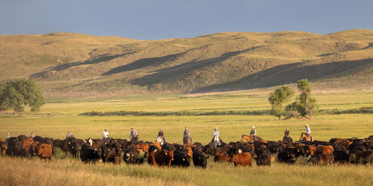 Celebrating National Beef Month in the Beef State