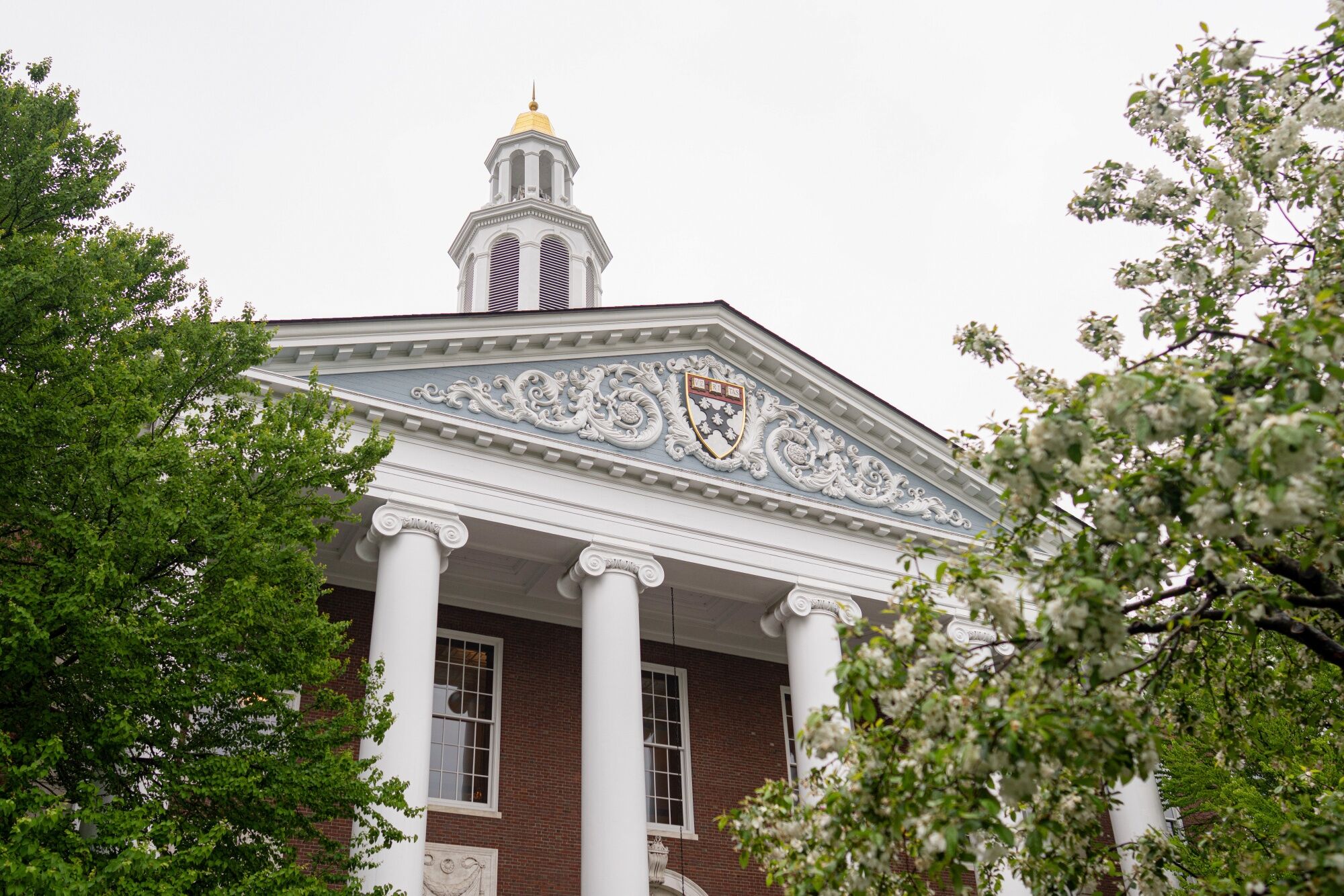 Harvard’s Foreign Students Are Stunned and Devastated by Trump’s Ban
