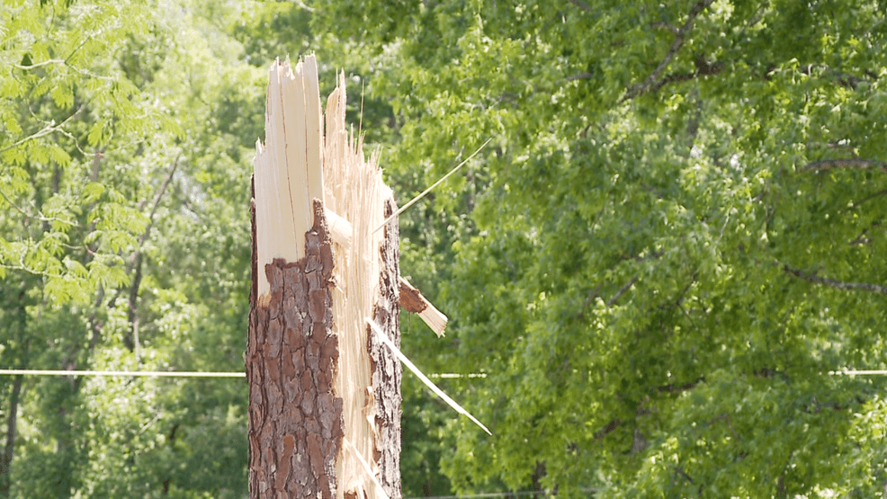 NWS confirms EF1 tornadoes hit Calhoun and Cleburne, uprooting trees ...