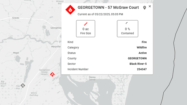 2 wildfires contained, but smoke will remain: Georgetown Co. officials