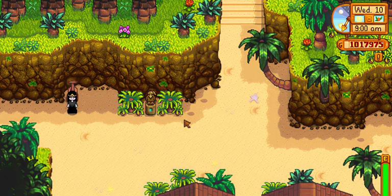 Stardew Valley: Pirate's Wife Quest Guide & Walkthrough