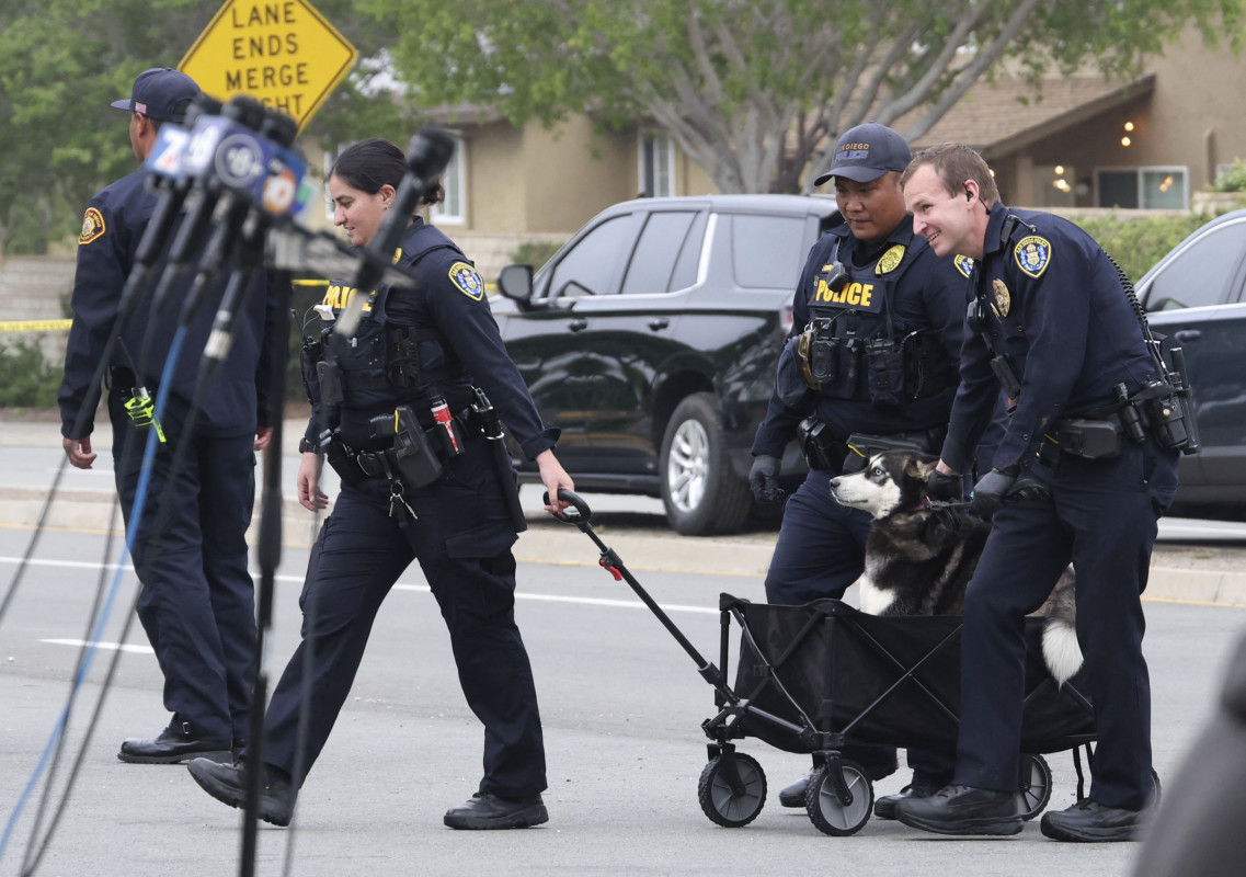 Dave Shapiro Was 'Big Shot' Talent Agent & Pilot