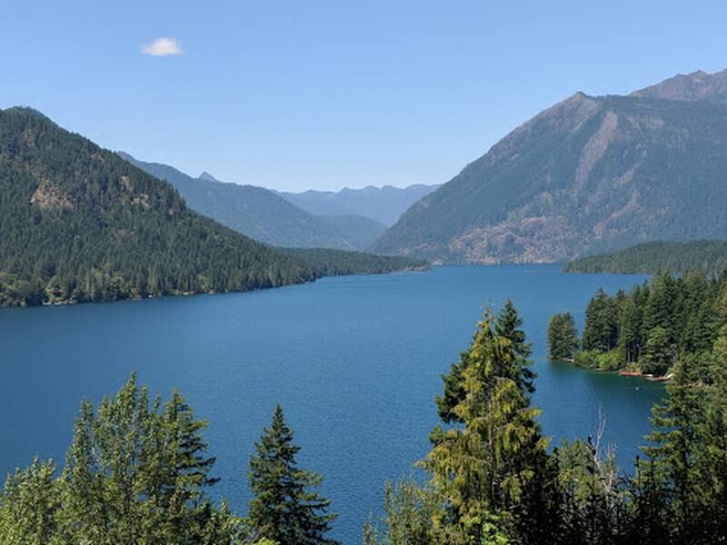 Report: No brain-eating amoeba detected at Olympic National Park