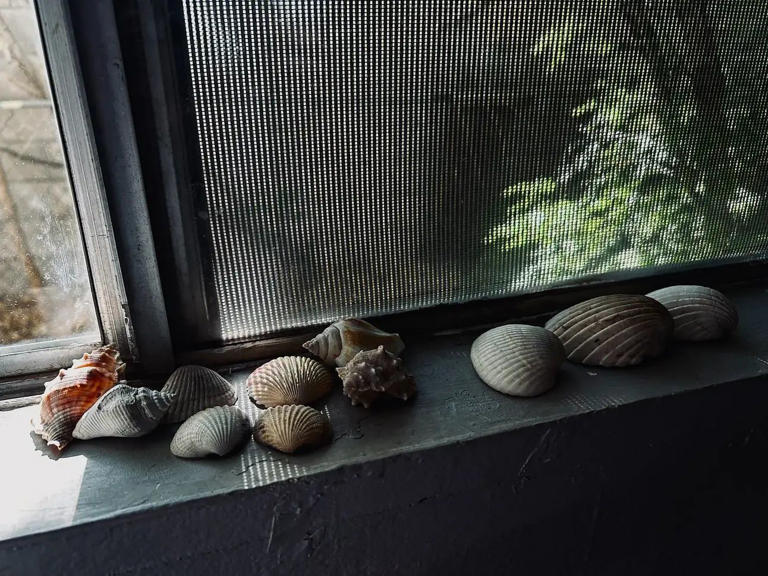 Undocumented Parenting: The Monster Under My Bed