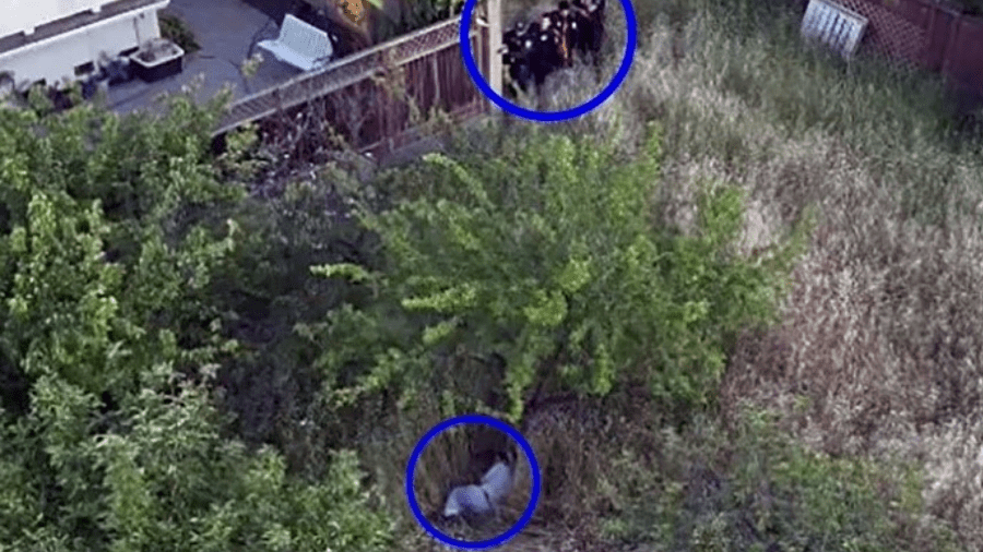 Drone finds Fremont burglary suspect trying to torch hiding spot: PD