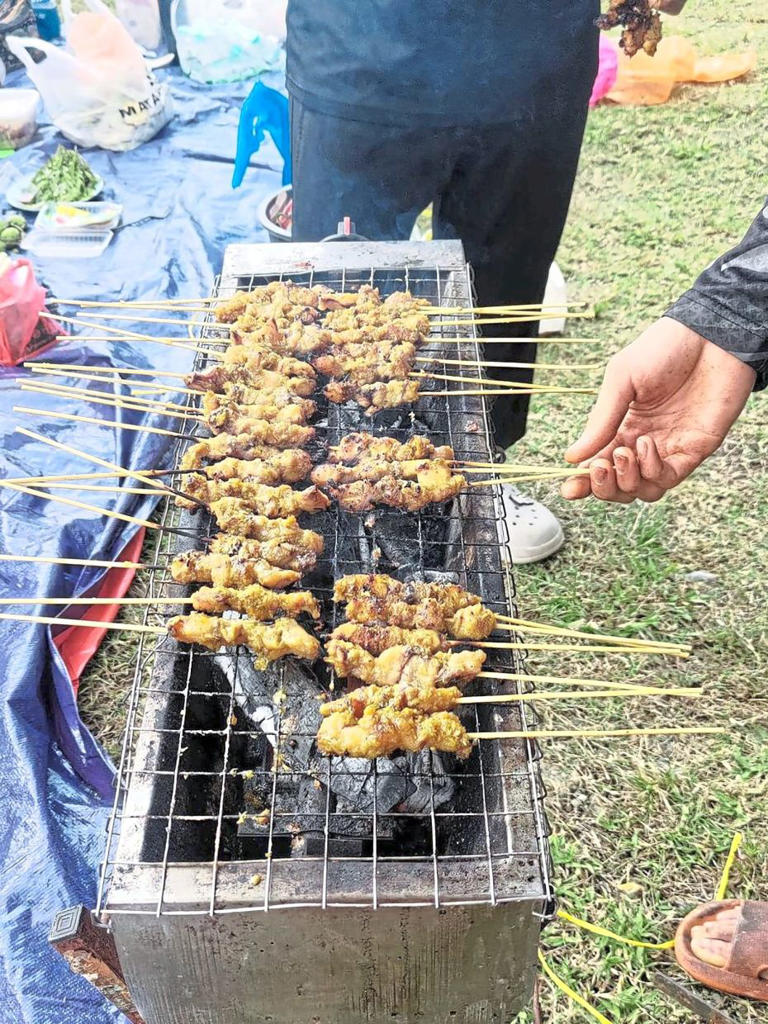 ‘Ensure clean source before consuming suckermouth catfish’