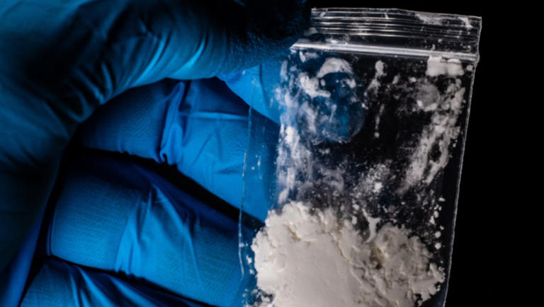 DEA alerta por carfentanilo, opioide 100 veces más fuerte que el fentanilo