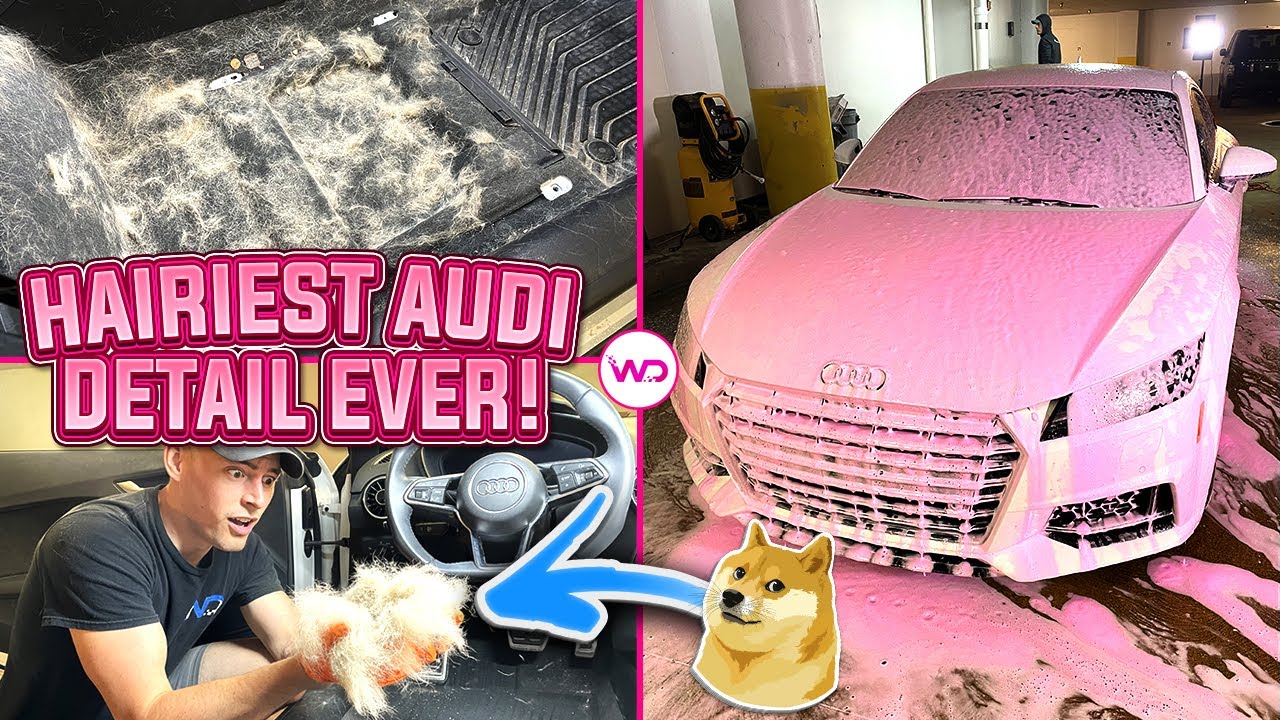 Deep cleaning the hairiest Audi TT with extreme dog hair removal
