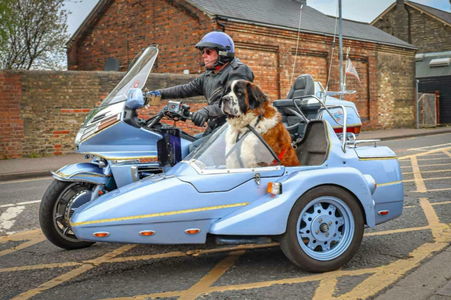 Biker and 'Hairy Biker' - meet the easy-riding duo turning heads on ...