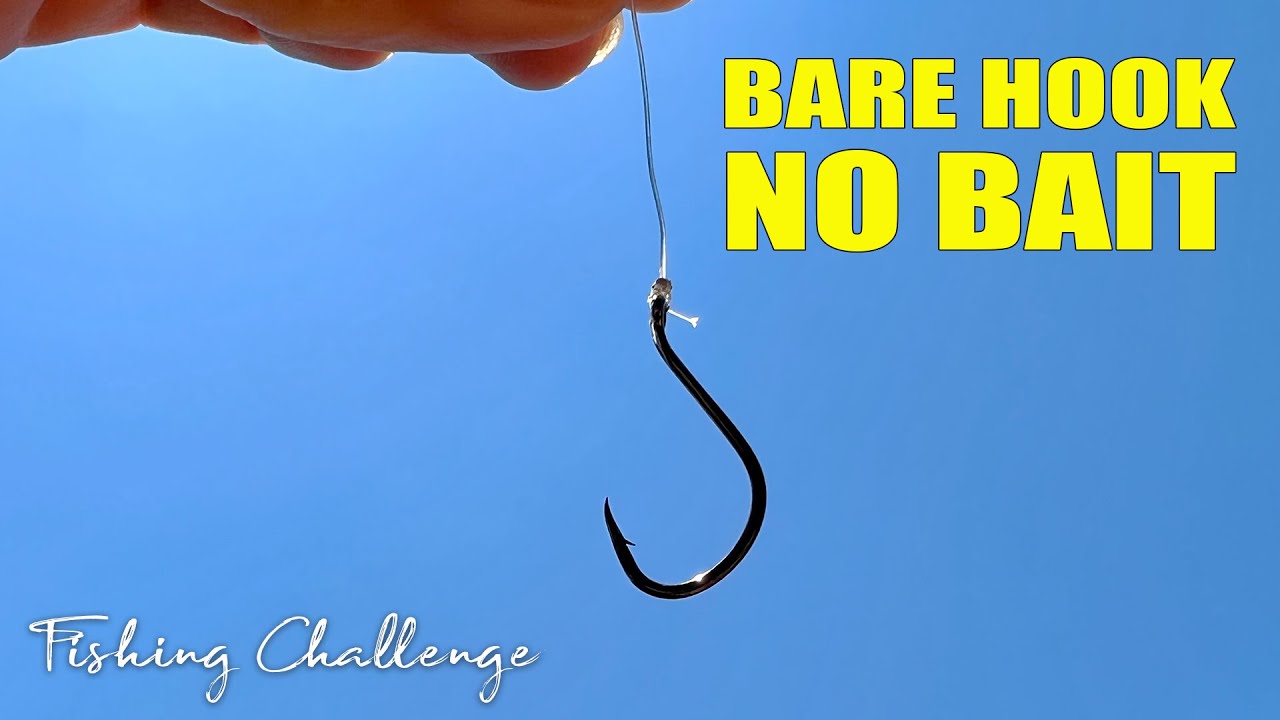 Bare Hook No Bait Fishing Challenge!