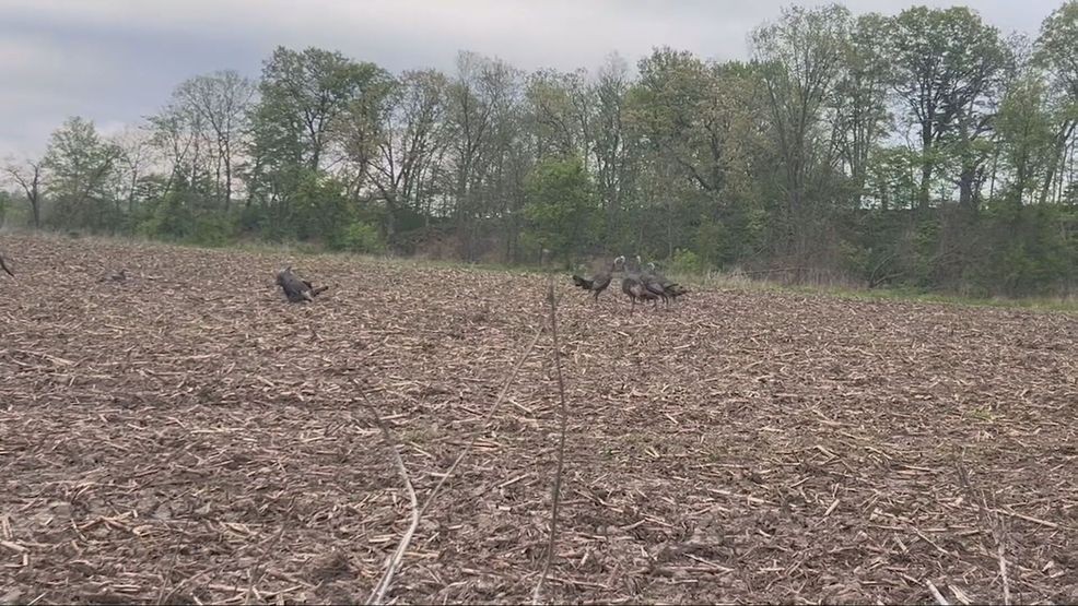 Collaborative turkey hunt brings joy and opportunity to kids and adults ...