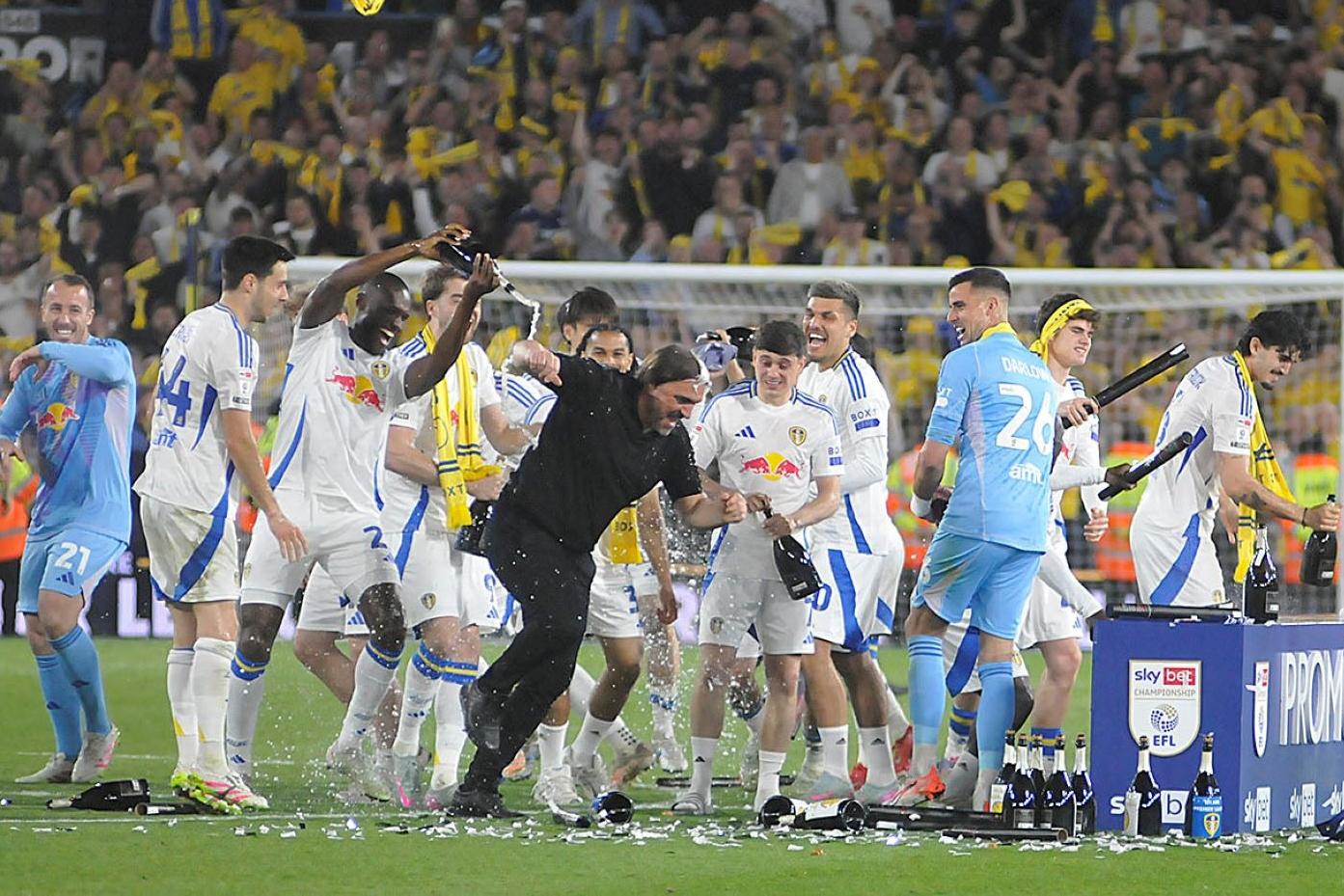 Lee Sharpe: I'm backing Daniel Farke to keep Leeds United up next season