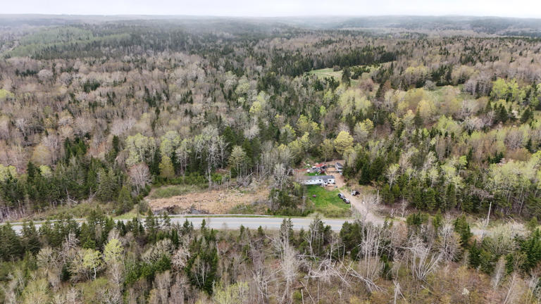 La grand-mère de Lilly et Jack Sullivan n’entretient plus aucun espoir