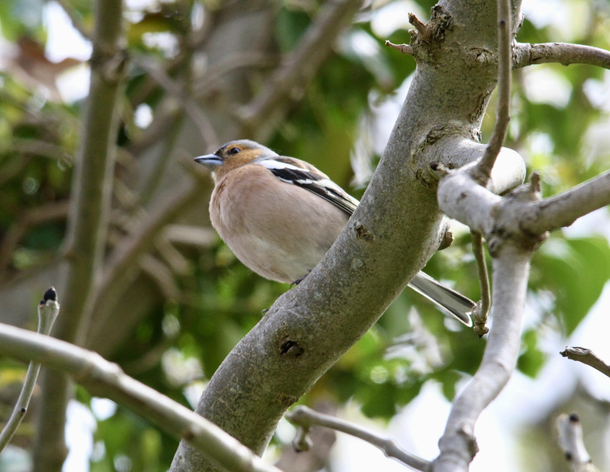 Fantastic readers' pictures in the frame