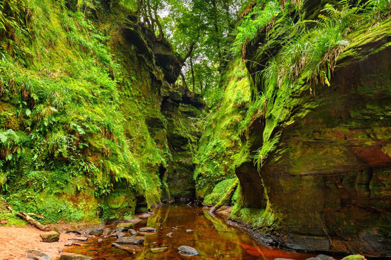 Tragic discovery of body at rural Stirling beauty spot amid safety fears