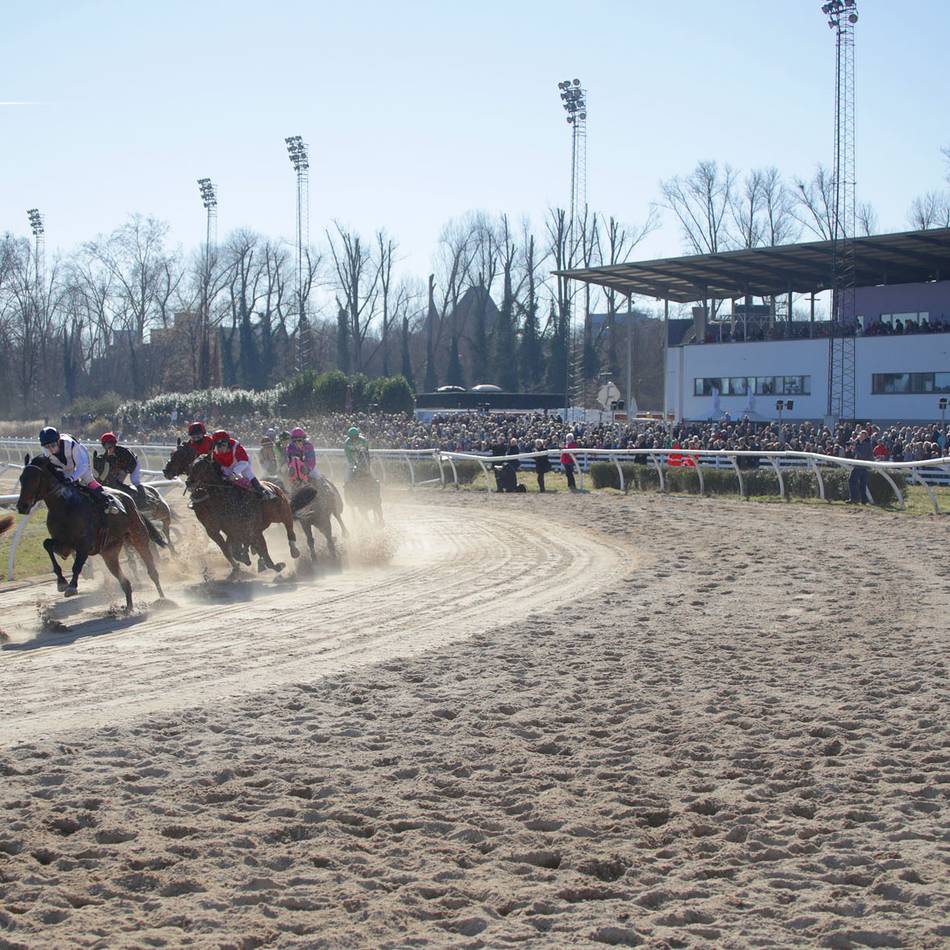 Stadt verliert Millionen durch Reiter- und Rennverein