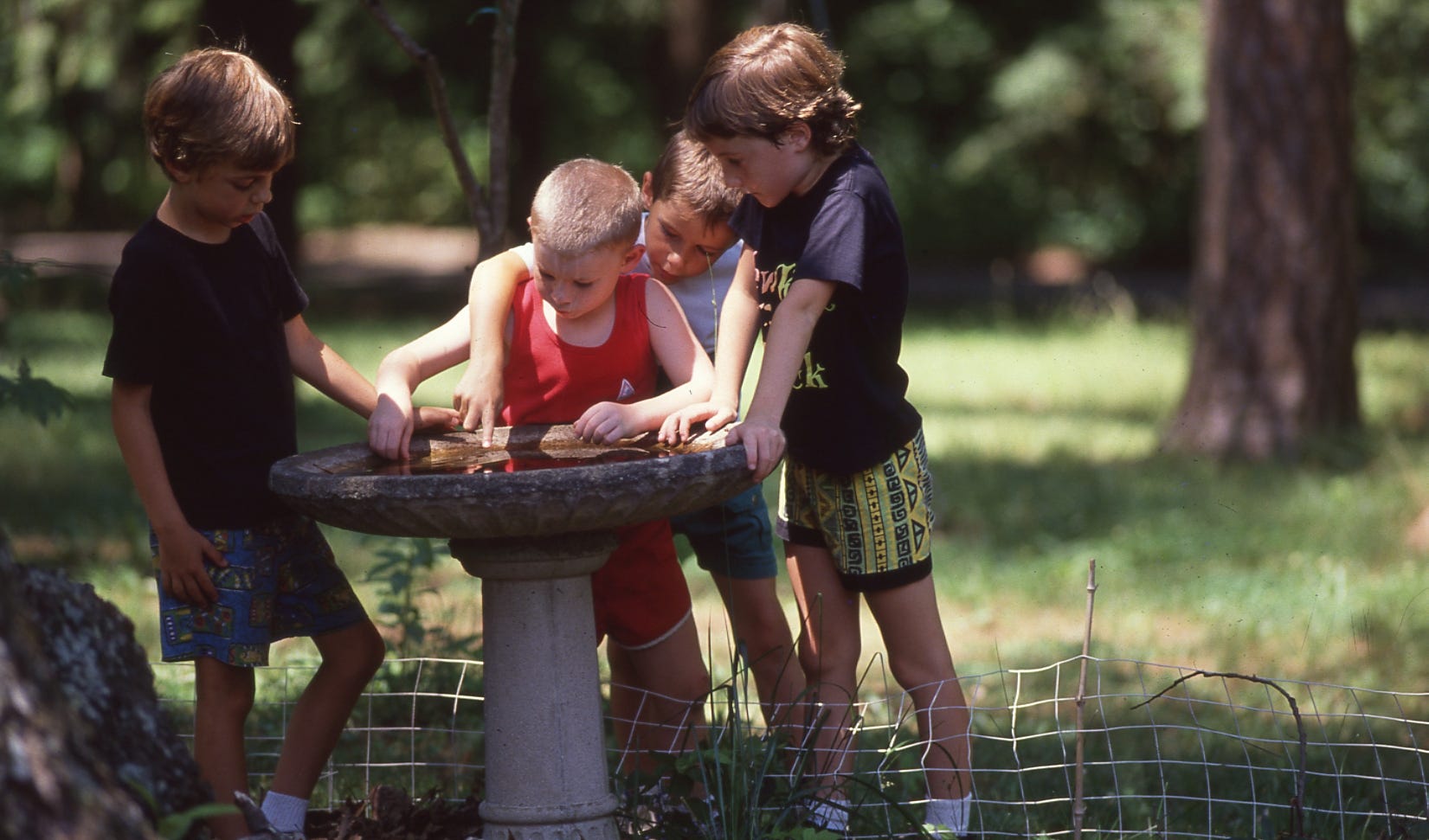 After 50 years, Ijams Nature Center looks to the future. What's next in ...