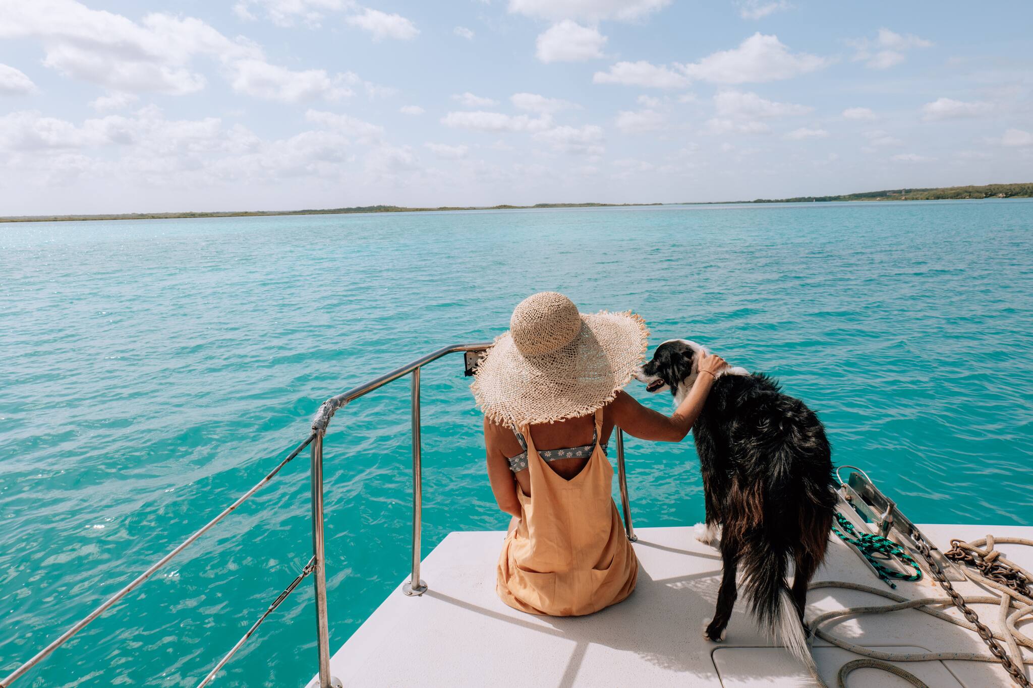 Urlaub Am Wasser Mit Hund