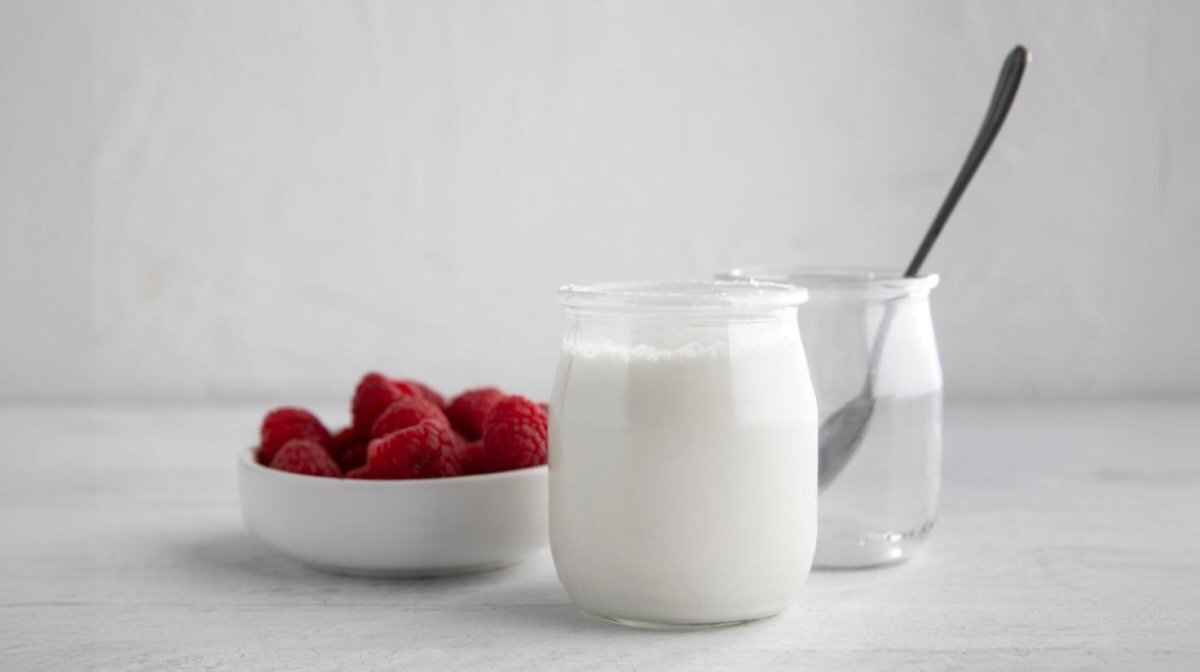 Skyr, yaourt grec, nature ou brassé : le guide pour faire le bon choix ...