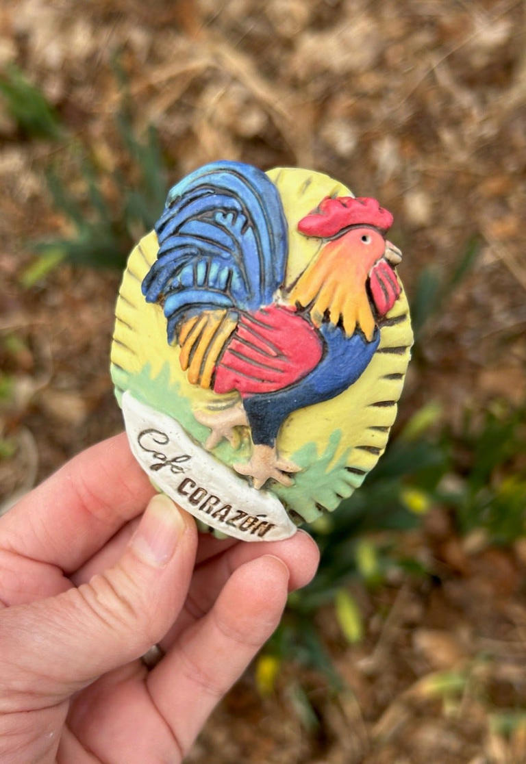 Found! Searchers find medallion in Brown Deer's 2025 treasure hunt with ...
