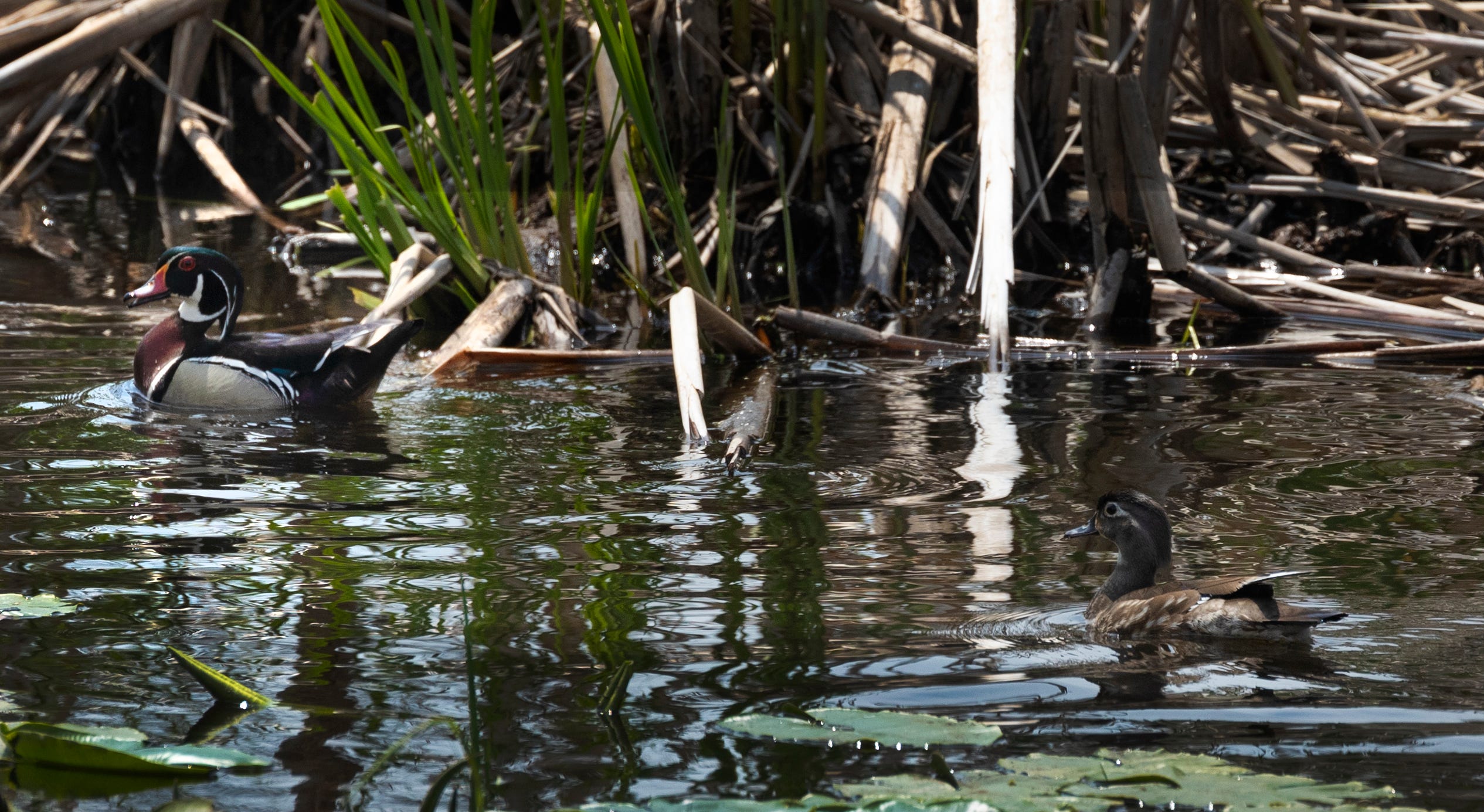 Indigenous bones, found years ago in Wisconsin and never reported ...