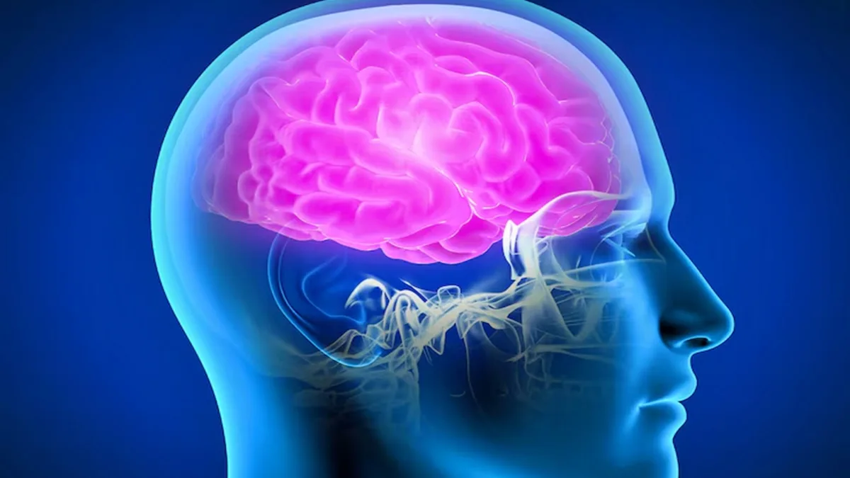 Seeing faces, missing names? New IISc online tool puts face blindness ...