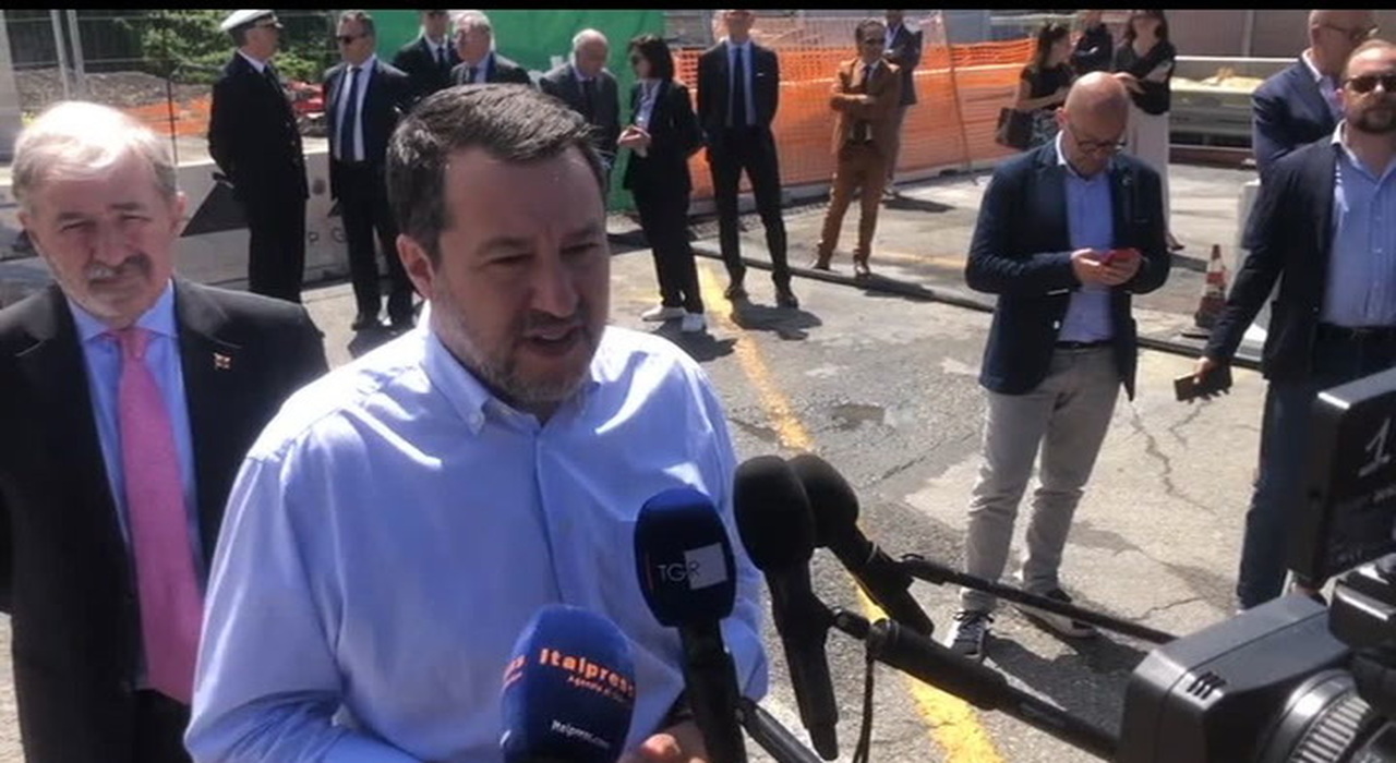 Fecondazione, Salvini: da Consulta sentenza politica e di parte