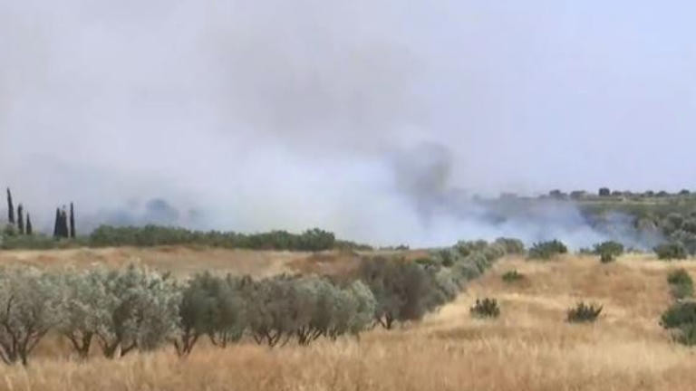 Διάσπαρτες εστίες φωτιάς στο Μαρκόπουλο: Πάνω από 80 πυροσβέστες στο ...