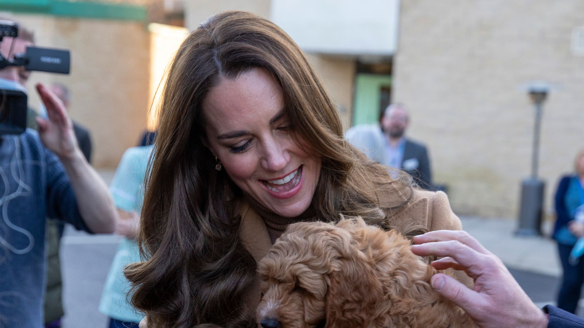 Del perro de Leonor y Sofía al 'cocker spaniel' de Kate Middleton: las ...
