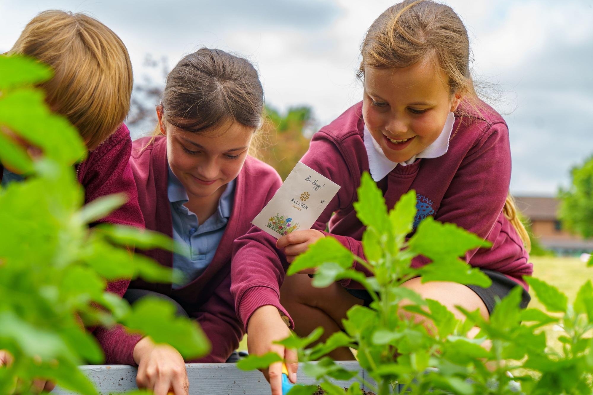 Allison Homes East helps primary school garden in Somersham bloom with ...