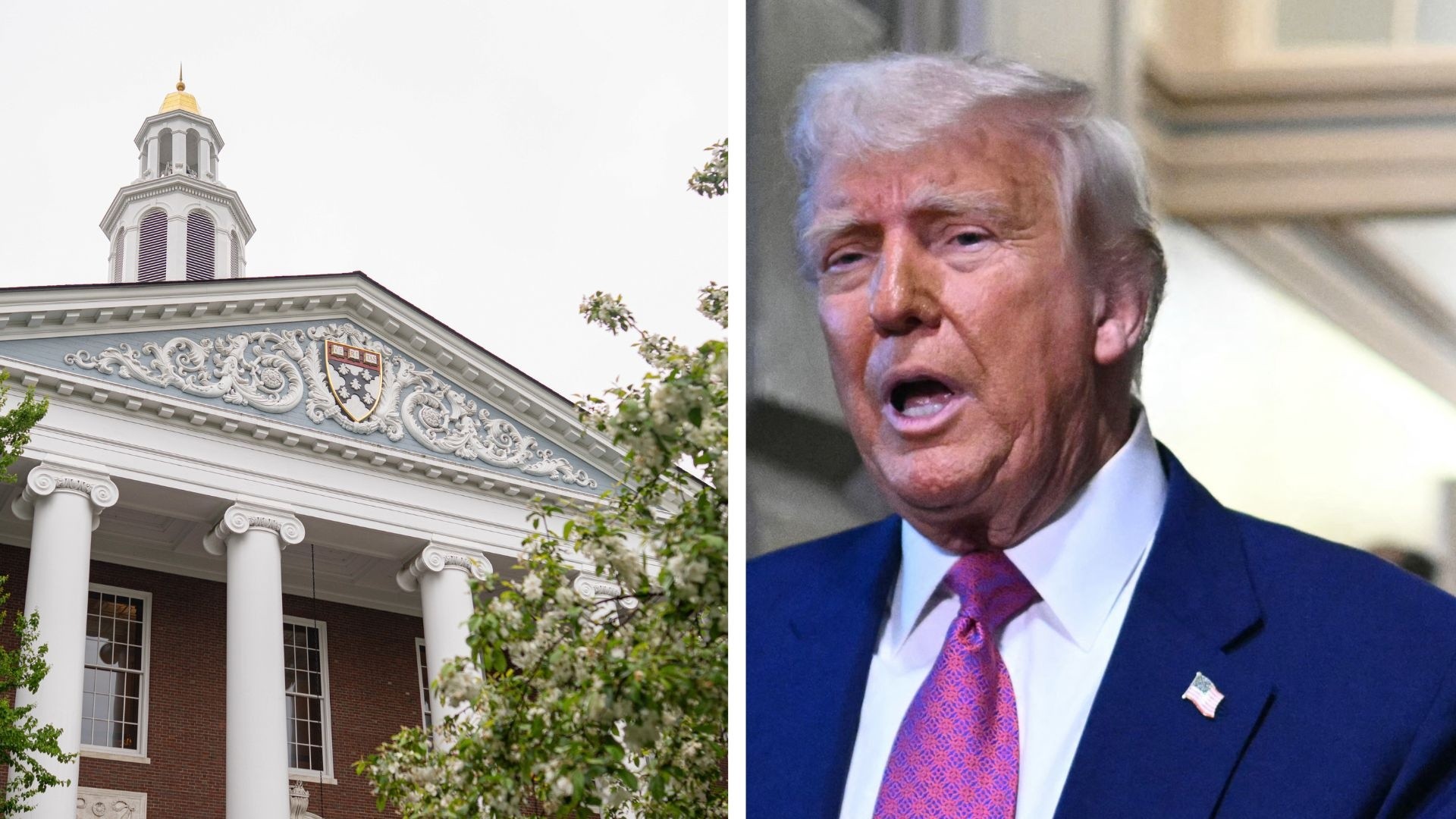 'Another smear campaign': Why Trump's latest action against Harvard is ...