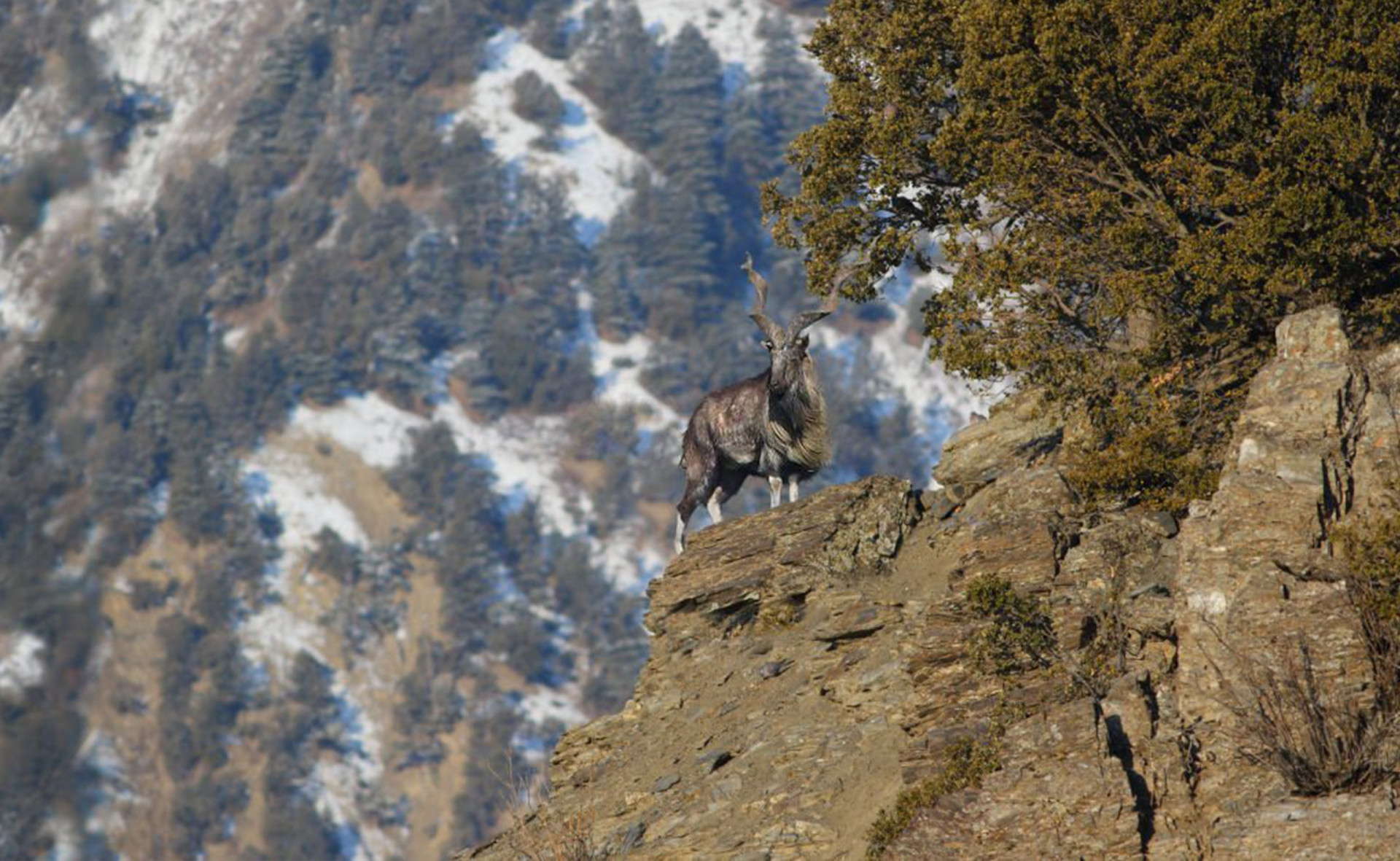 Remembering the Moskva: How did Ukraine sink Moscow’s Black Sea flagship?