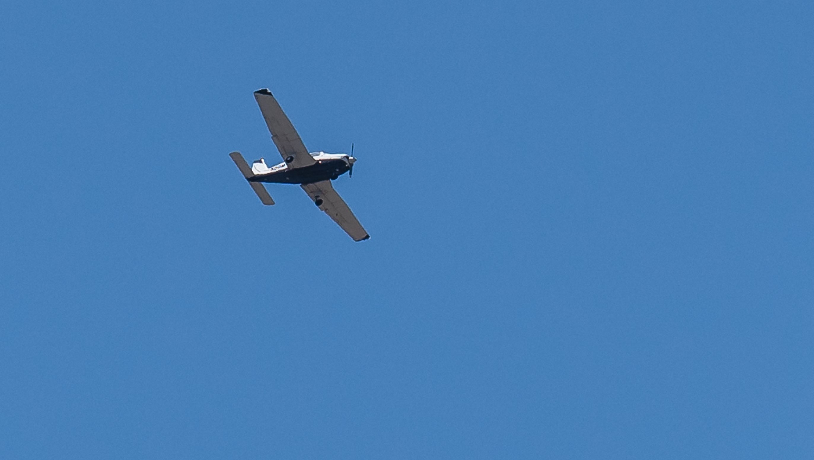 Dave Shapiro: About the STG Co-Founder Who Died in Plane Crash