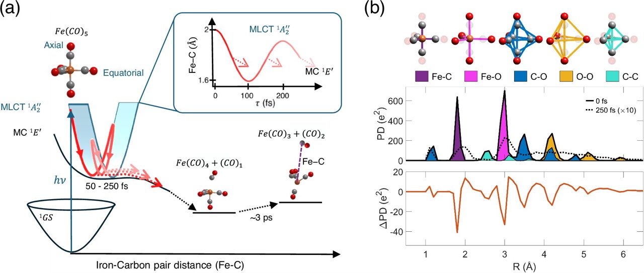 Ultrafast X-rays capture atomic movements in light-activated catalyst ...
