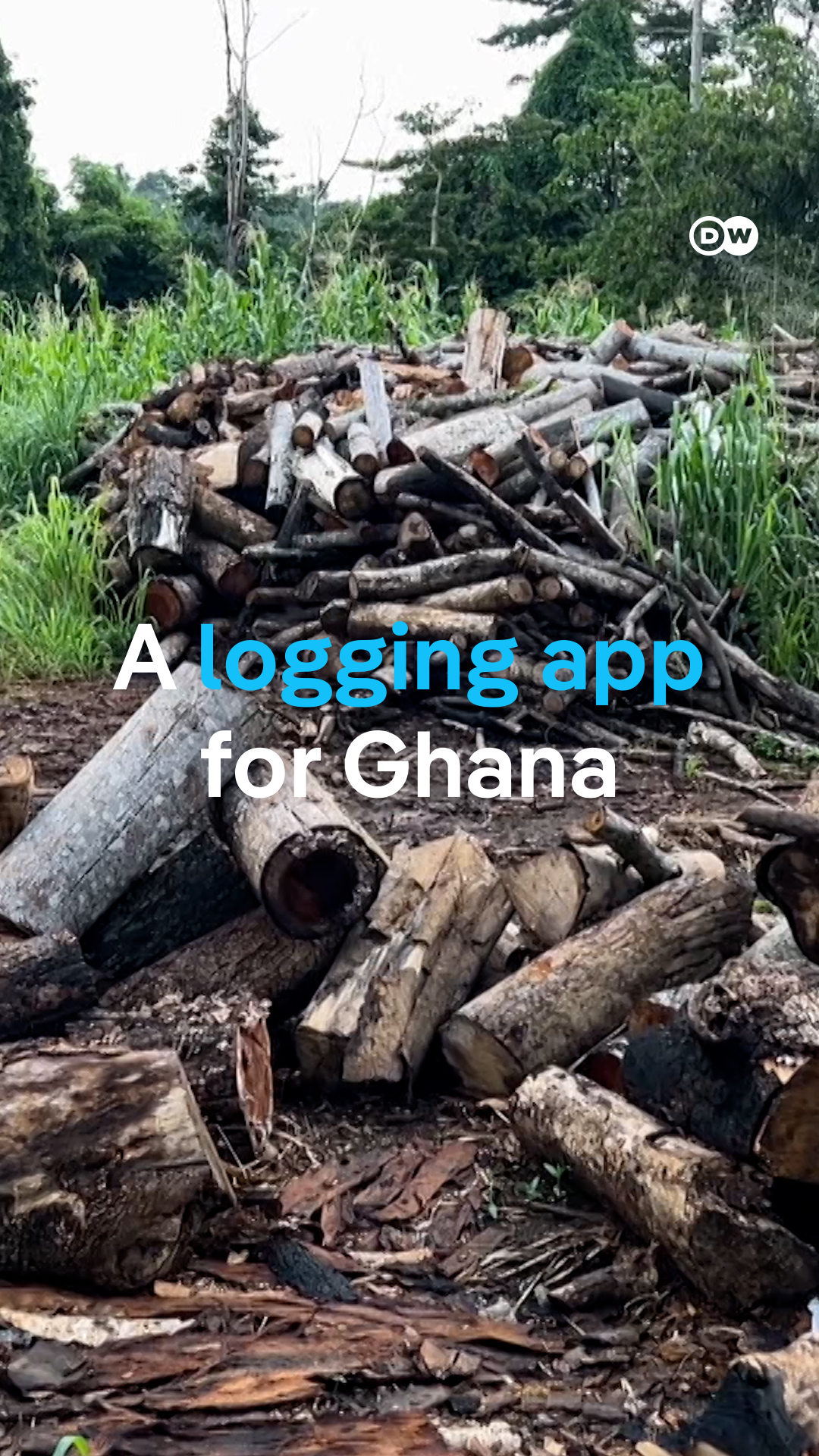 Ghana: the logging app
