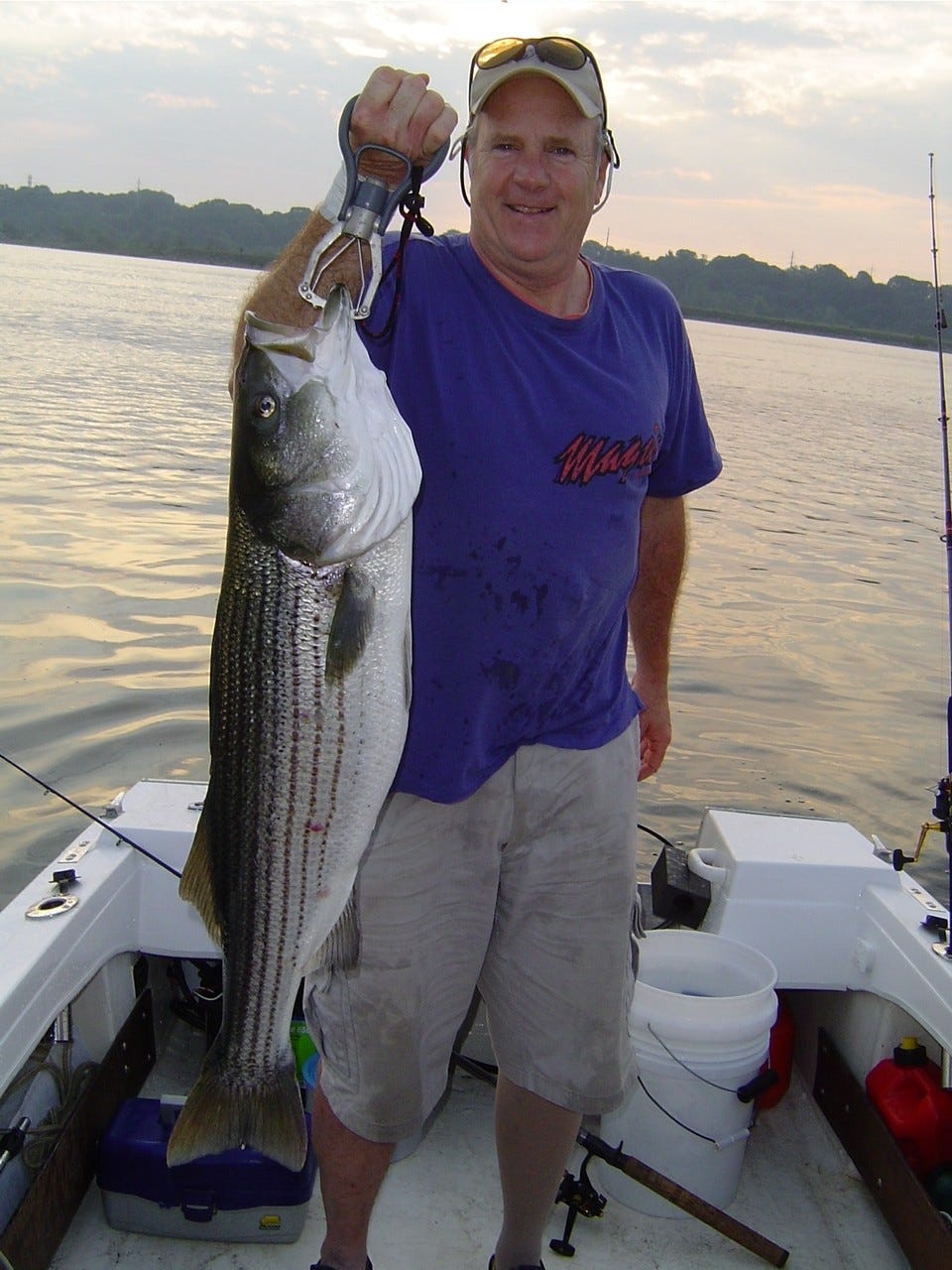 Looking to land the big one? Here's where to catch big bass and fluke ...